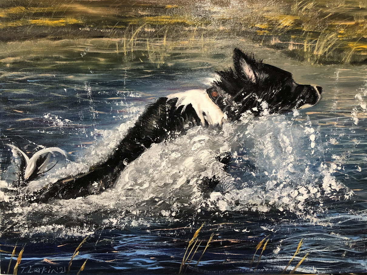 Agility - Tracey Larkin Design