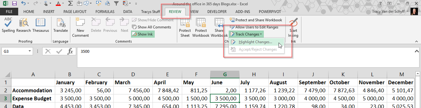 Day 136 Track Changes in Excel – Tracy van der Schyff