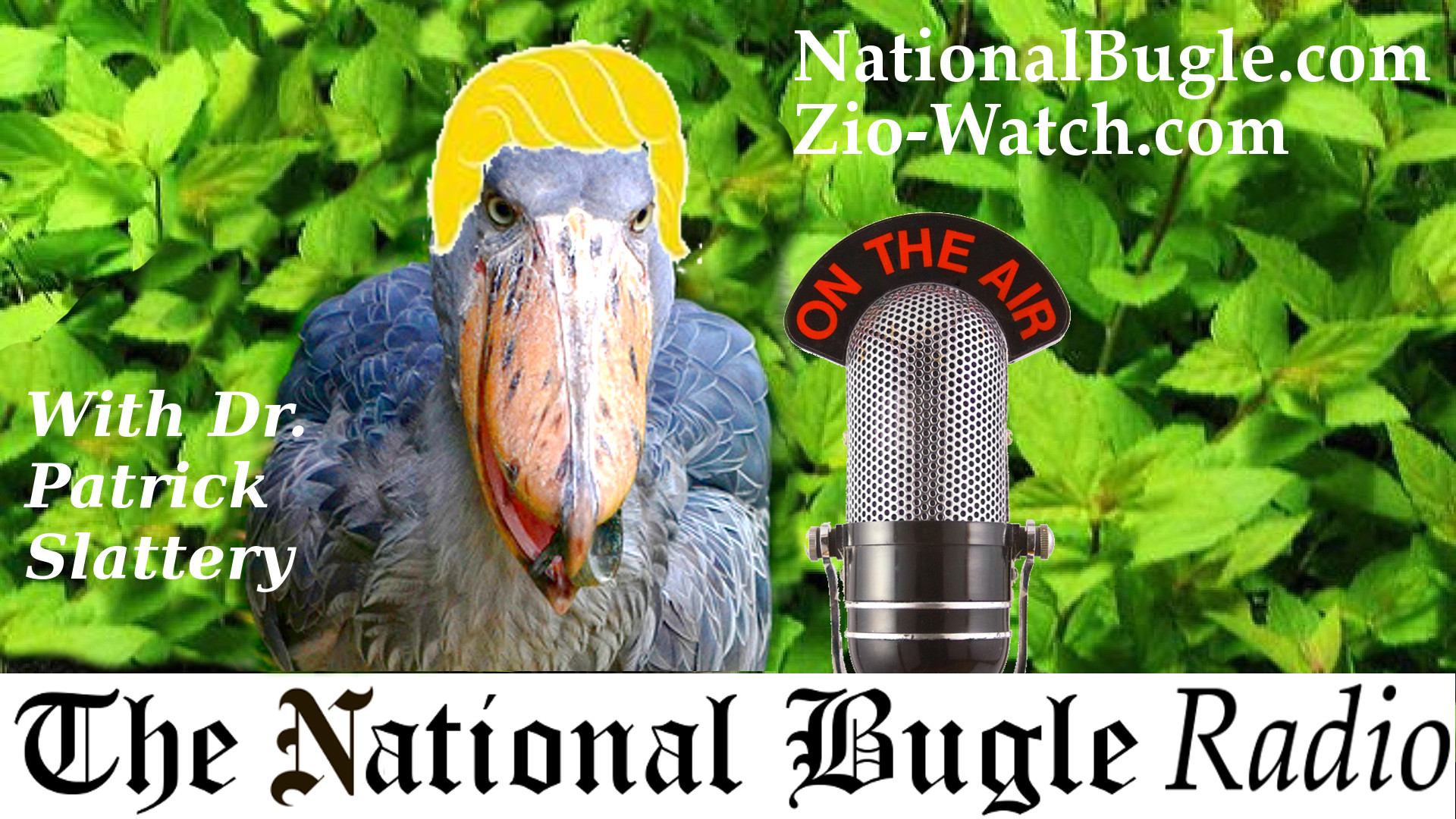 NEW! SPECIAL GUEST EXCLUSIVE PODCAST: MARCH 30: DR PATRICK SLATTERY ...