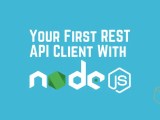 How To Write Your First Rest Api Client With Nodejs