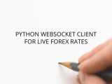 Python Websocket Client Tutorial