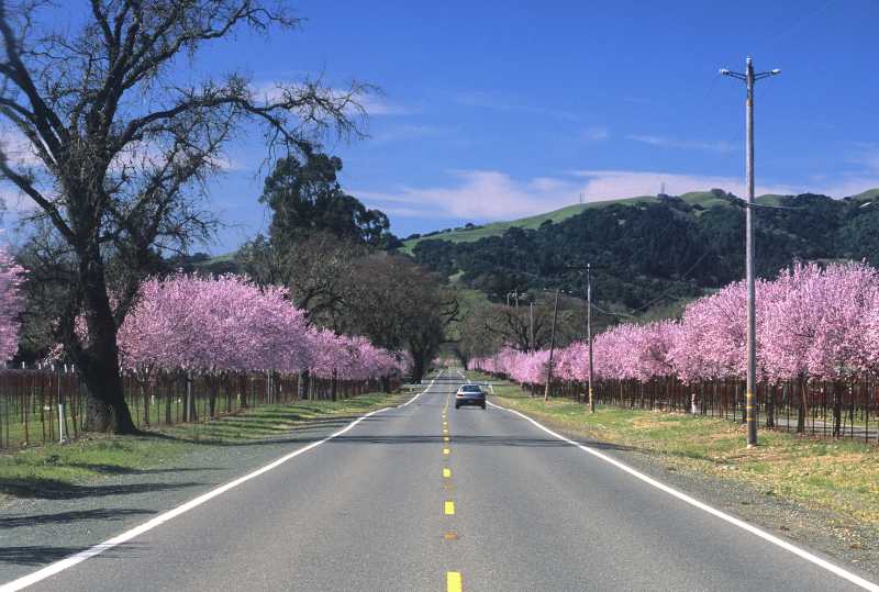 7 Driving Safety Tips for Spring – Traffic Safety Guy