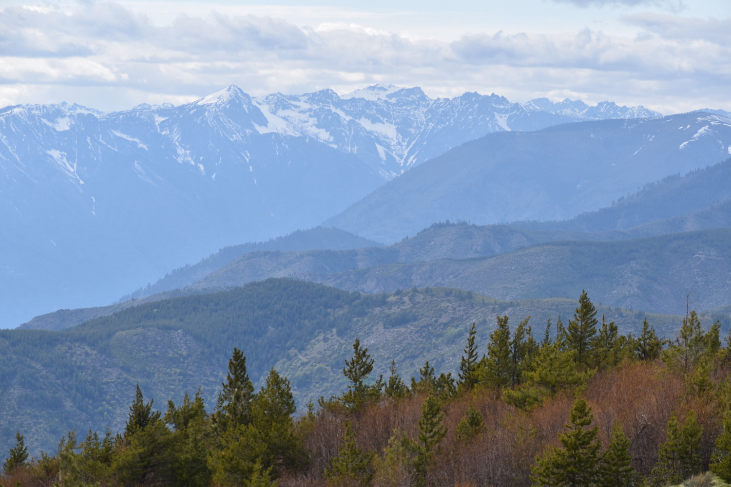 Cooper Mountain Lookout Site - TrailChick