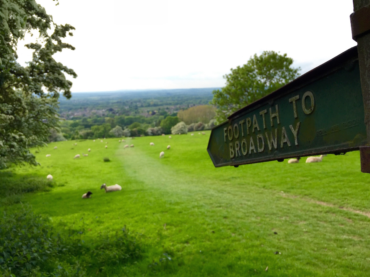 Trailsnet has trail information about bike trails, hiking trails ...