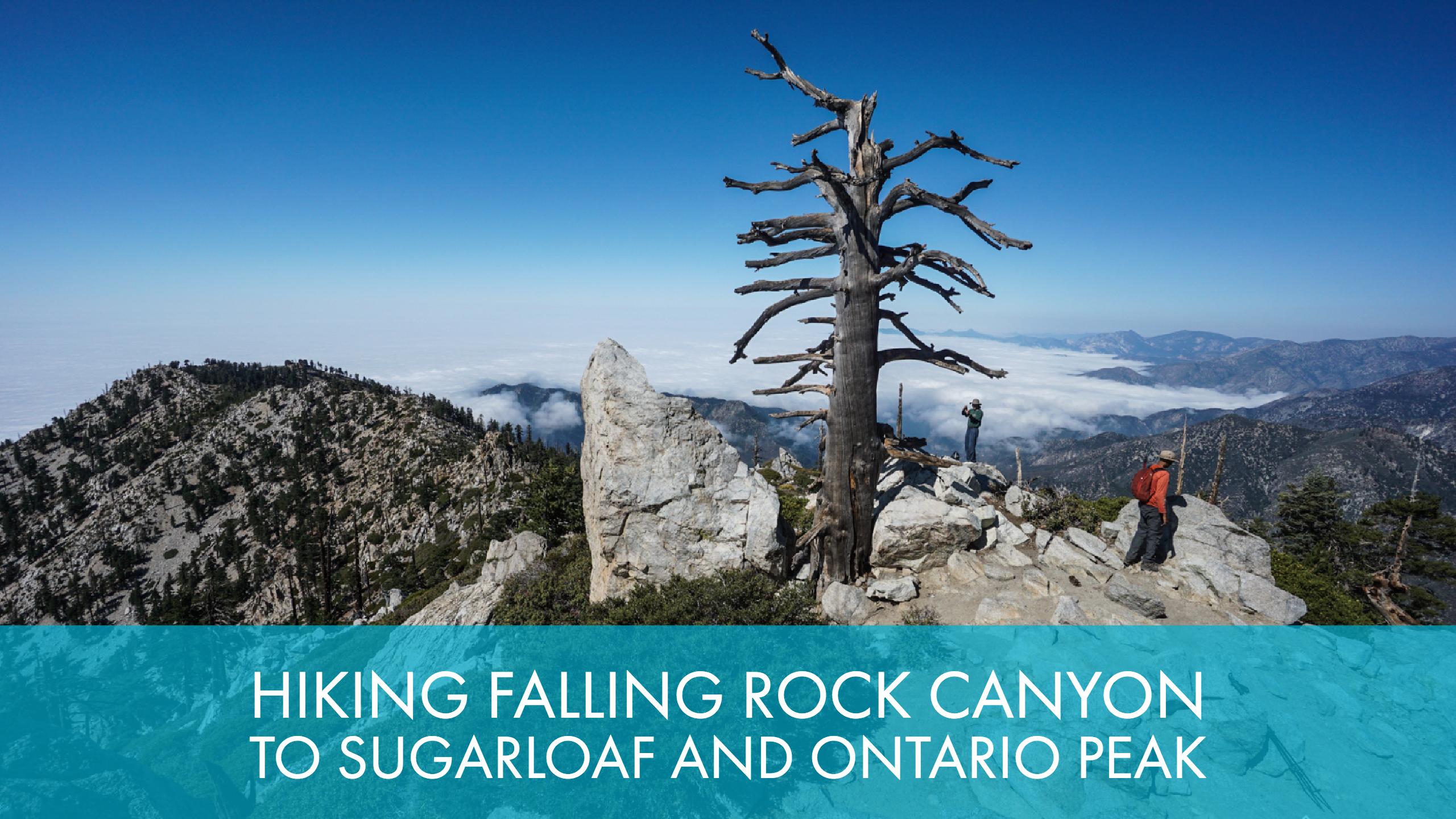 Hiking Falling Rock Canyon To Sugarloaf And Ontario Peak - Trail to Peak