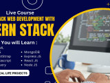 Full Stack Web Development With Mern Stack Trainerbd