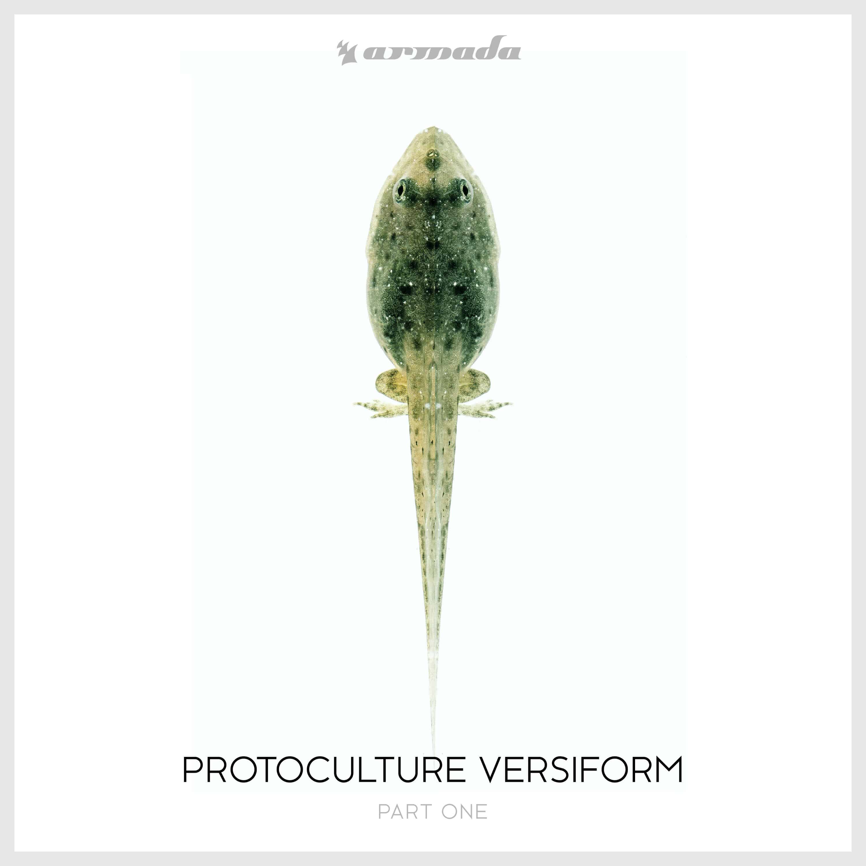Protoculture - Versiform Part 1