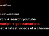 Youtube Transcript Api With Search Channels Playlists Transcriptapi