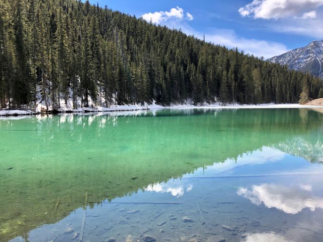 15 Spring Things To Do In Radium Hot Springs • Travel Tales of Life
