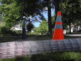 How To Setup A Tree Protection Zone Tree Protection Zone Treenewal