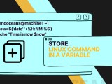 How To Store Or Assign A Linux Command In A Variable In Bash Shell