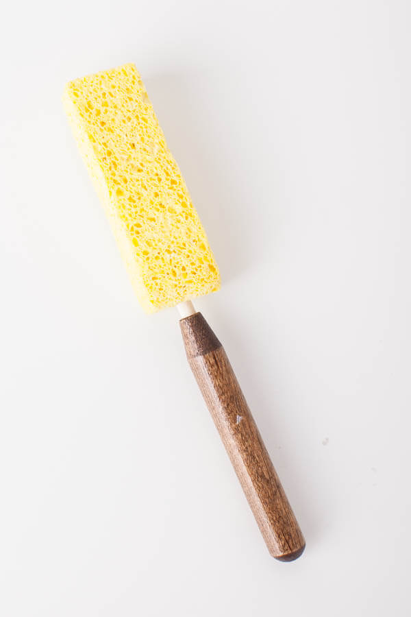 Sponges Archives - Trinity Ceramic