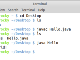 Development Tools Think Java Trinket