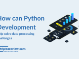 Python Development And Data Processing Challenges