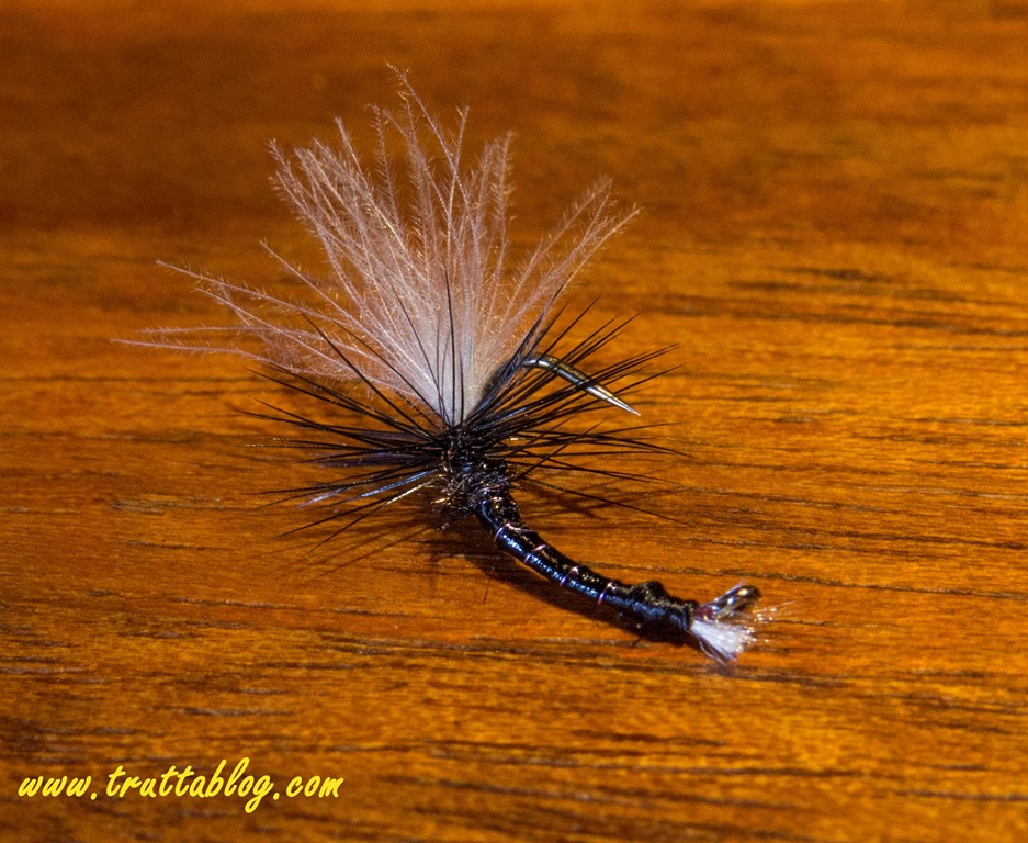 CDC Midge | Truttablog