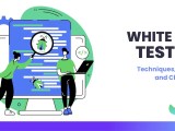 Testing Techniques White Box