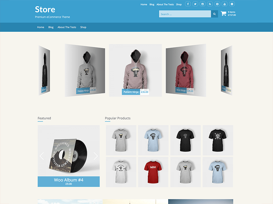 Store Theme Wordpress