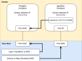 Using Pgadmin Running In Docker To Access A Dockerized Postgresql Tsmx