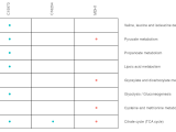 Kegg Pathway Analysis Pathwayanalysis Mnet