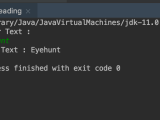Read Text From Console In Java Interview Question Eyehunts