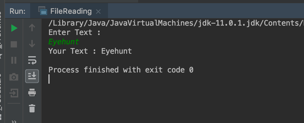 Read Text from console in Java | Interview Question - EyeHunts