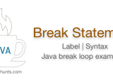 Java Break Statement Label Java Break For Loop Example Eyehunts