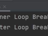 Break In Nested Loops Python Example Code