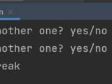 While Loop Yes Or No Python Example Code