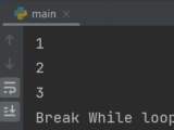 Python Break While Loop