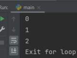 Python Exit For Loop Early