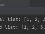 Remove Last Element From List Python