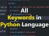 Python Keywords Infographic