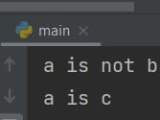 Python Is Not Operator