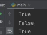 Python Not True Boolean