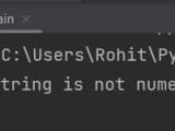 Is Not Numeric Python