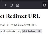 Get Redirect Url Javascript