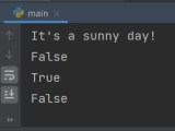 Boolean Literals In Python