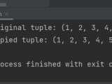 Copy Tuple Python