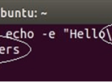 Echo Command In Shell Scripting Echo Command In Linux