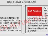 Css Float And Clear How To Float In Css Clear Both