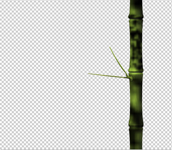 How to Create Bamboo in Adobe Photoshop | all about designs
