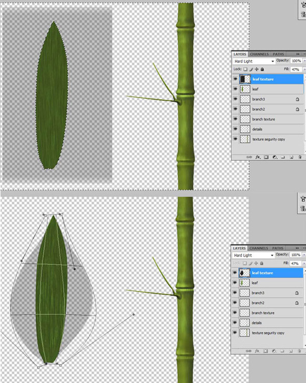 How to Create Bamboo in Adobe Photoshop | all about designs