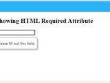 Html Required Attribute In Select Input And Textarea