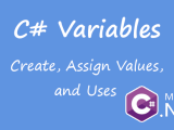 C Sharp Variables Create Assign Value And Uses C