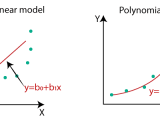 Classification Algorithm In Machine Learning Tutorialforbeginner