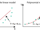 Polynomial Regression In Machine Learning Tutorialforbeginner