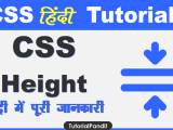 Css In Hindi Learn Free Css Online In Hindi Tutorialpandit