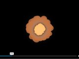 A Beginner S Guide To Crafting 2d Explosion Effects In After Effects