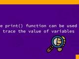 What Are Variables Tutorial Python