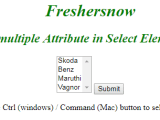 Html Multiple Attribute
